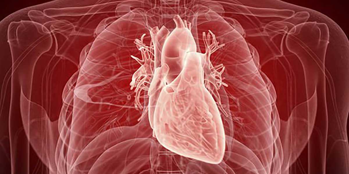 Λοιμώξεις και Φλεγμονές της Καρδιάς - Κολοβός Βασίλειος MD Καρδιολόγος ...