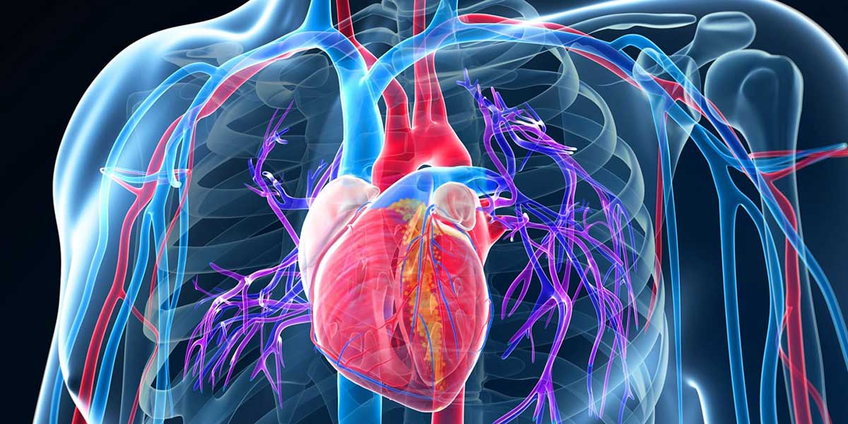 Παθήσεις Καρδιαγγειακού Συστήματος - Κολοβός Βασίλειος MD Καρδιολόγος ...